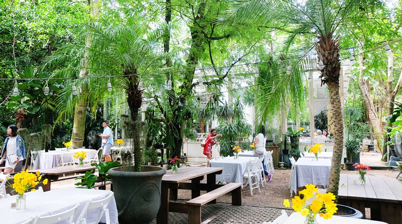 Little Tree Garden: Cafe' ที่ใครก็หลงรัก | บล็อกเทพ Blog.Lnw.co.th